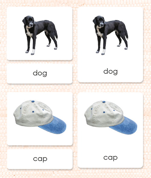 Phonetic Montessori Cards: Simplest Words (level 1)