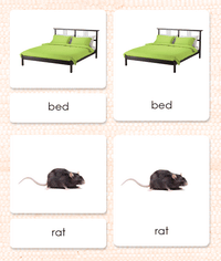 Phonetic Montessori Cards: Simplest Words (level 1)