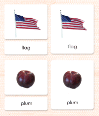 Phonetic Montessori Cards: Simplest Words with Consonant Blends (Level 2)