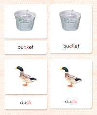 Montessori Phonogram 3-Part Reading Cards