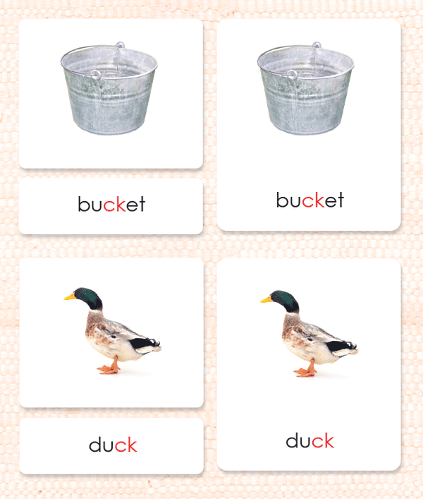 Montessori Phonogram 3-Part Reading Cards
