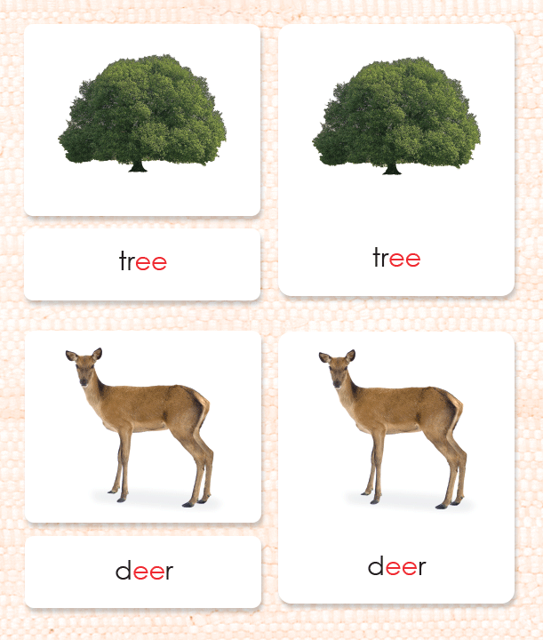 Montessori Phonogram 3-Part Reading Cards