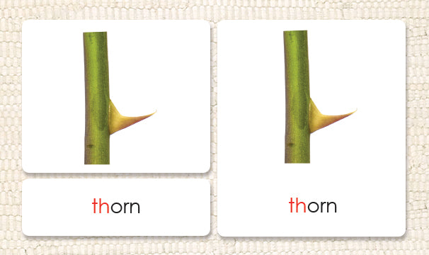 Montessori Phonogram 3-Part Reading Cards – Maitri Learning