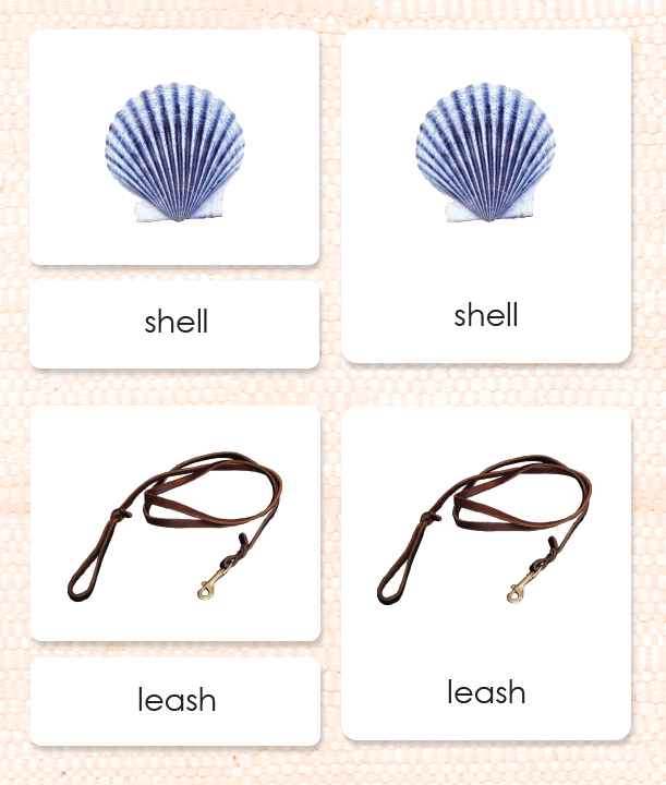 Phonetic Montessori Cards: Challenging Phonetic Words with Mixed ...