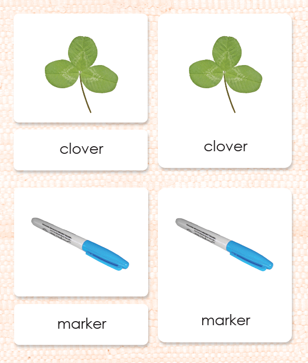 Phonetic Montessori Cards: Challenging Phonetic Words with Mixed ...