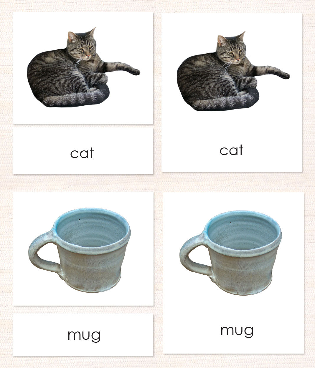 Cardstock Phonetic Montessori Cards: Simplest Words (level 1)