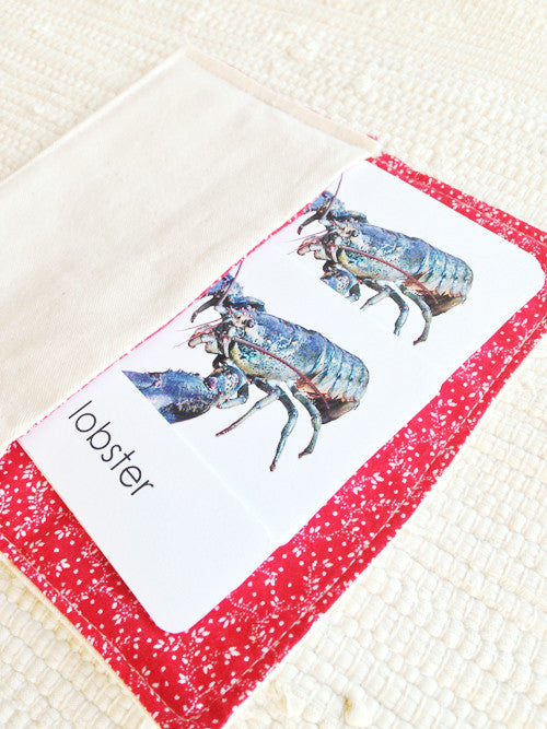 Parts of the Lobster Book – Maitri Learning