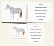 Parts of the Horse Book & Card Set