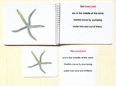 Parts of the Sea Star (Starfish) Book & Card Set