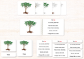 Parts of the Tree Book & Card Set