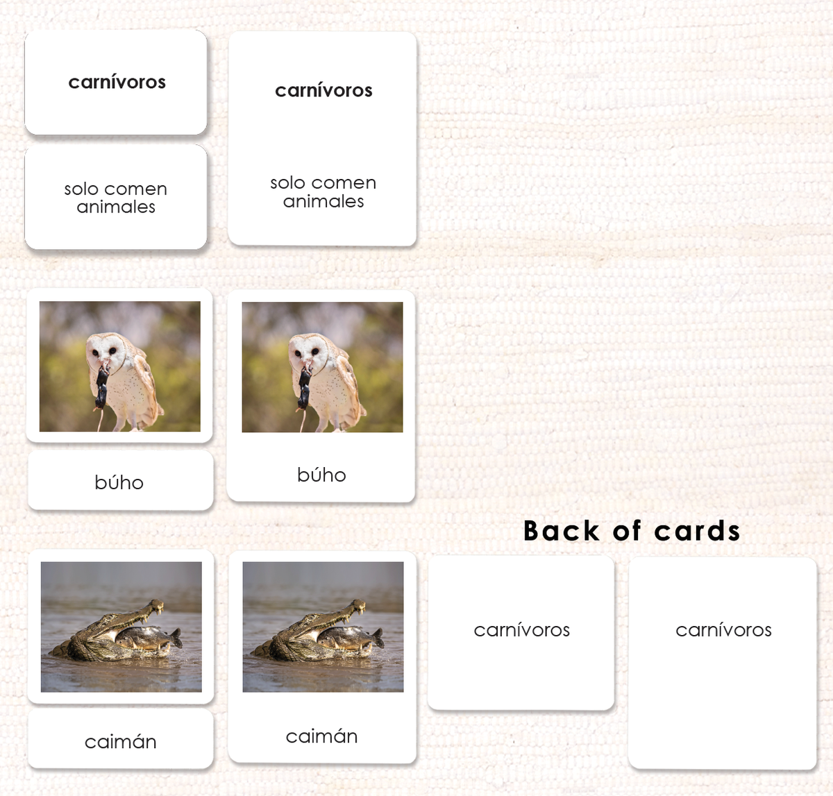 Carnivores, Herbivores & Omnivores Montessori Zoology Cards