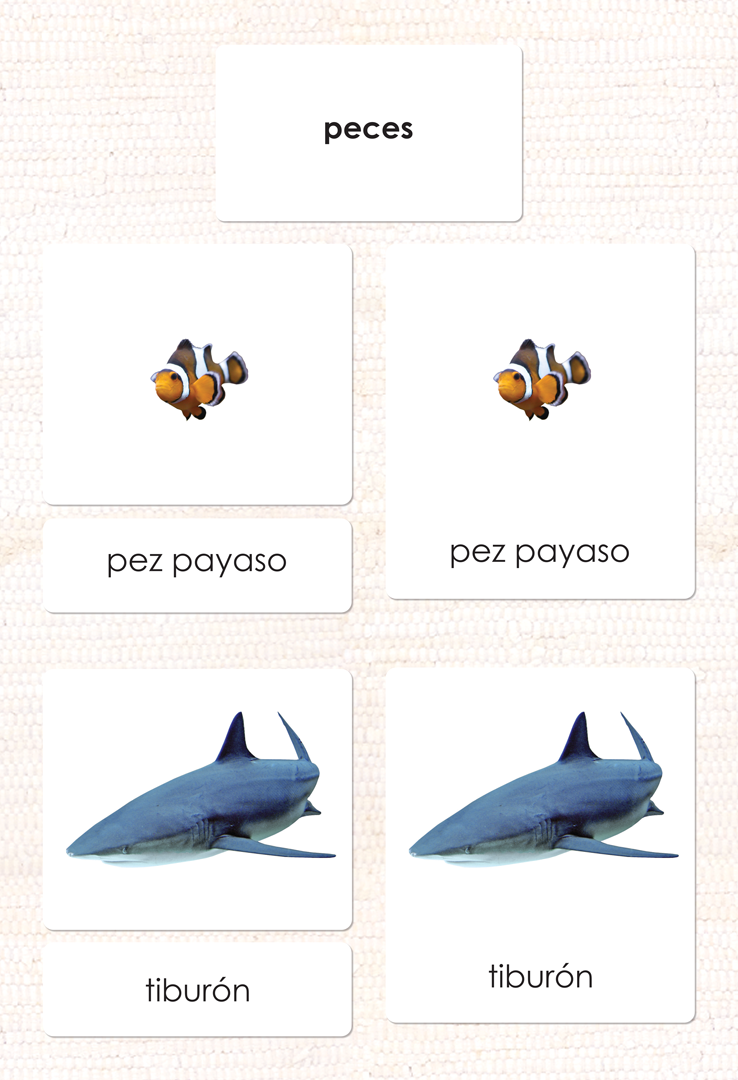 Fish Montessori Zoology Cards