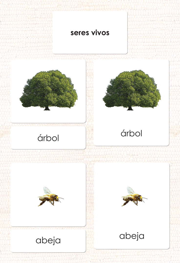 Spanish Living Montessori Cards/Seros Vivos Materiales Montessori