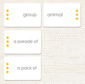 Animal Groups: Montessori Related Noun Word Study