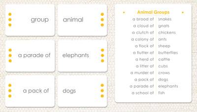 Animal Groups: Montessori Related Noun Word Study