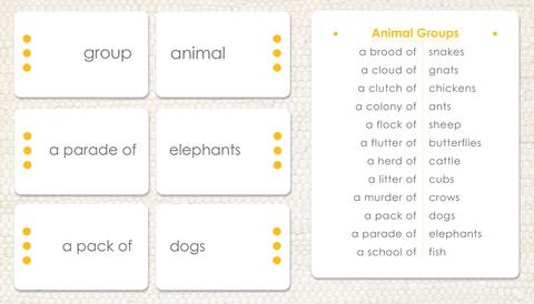Montessori Word Study Card Set – Maitri Learning