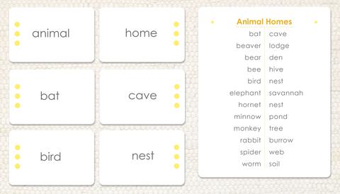Montessori Word Study Card Set – Maitri Learning