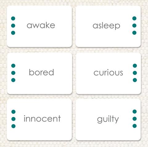 Montessori Word Study Card Set – Maitri Learning