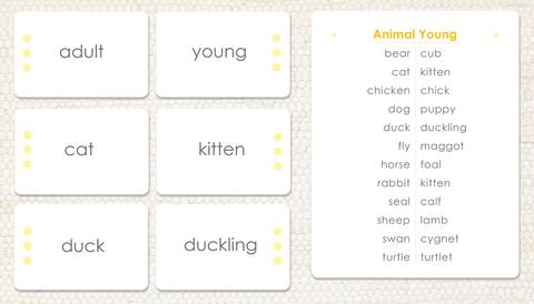 Word Study – Maitri Learning