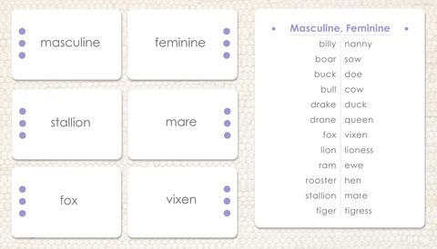 Montessori Word Study Card Set – Maitri Learning