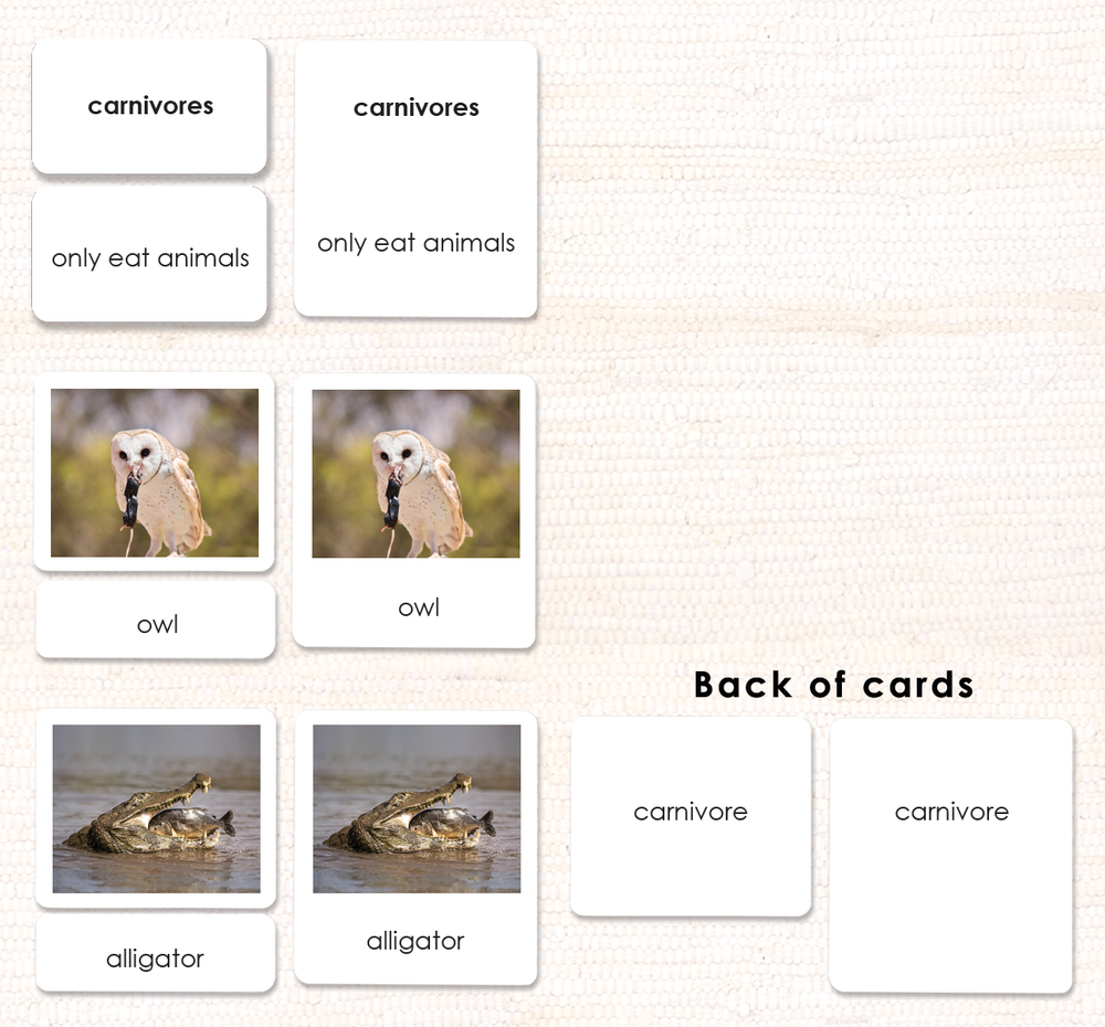 Zoology